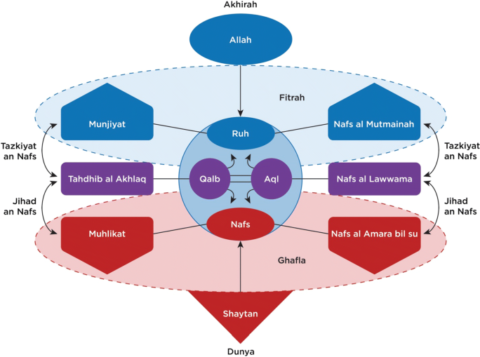 Islamic Psychology: A Model Where Faith Has Its Place